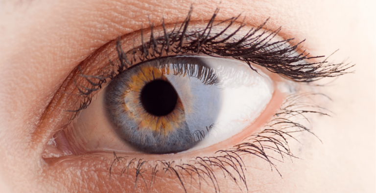 Living with Hemianopsia: Overcoming the Difficulties of a Partially ...